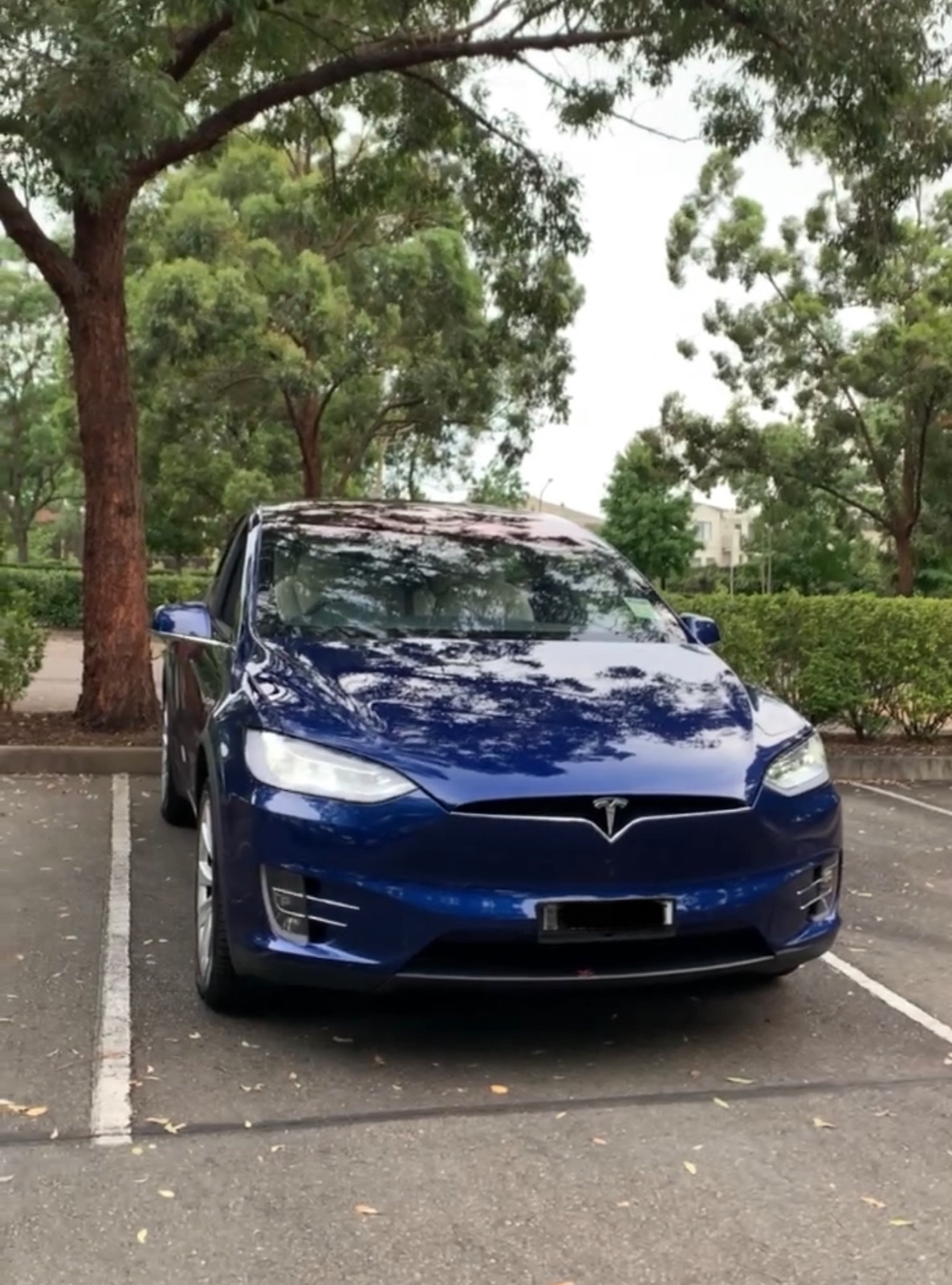 Blue Tesla Model X 2020 | Skoutli