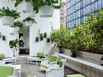 ivy Sunroom with Secret Rooftop Garden - Skoutli